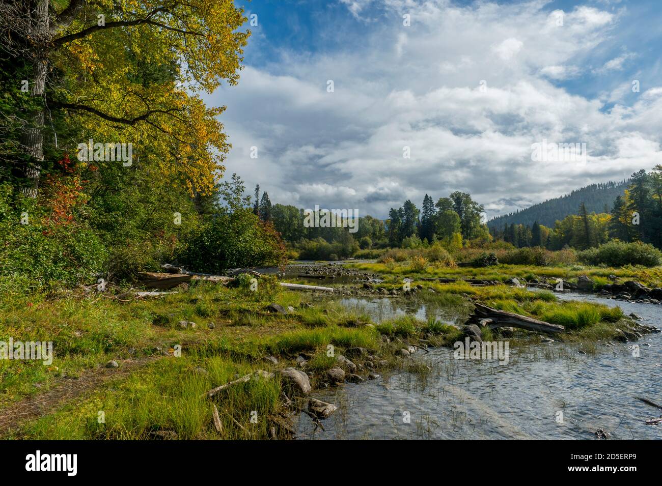 Early fall landscape along the shore of Lake Wenatchee at Lake ...