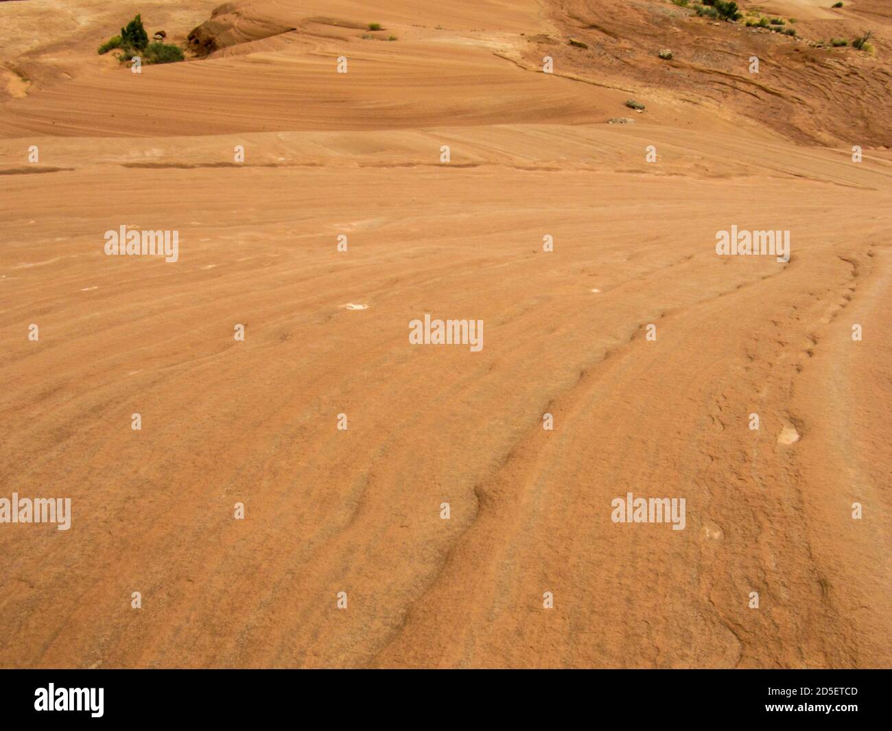 Crossbedding in the orange colored slickrock member of the Entrada ...