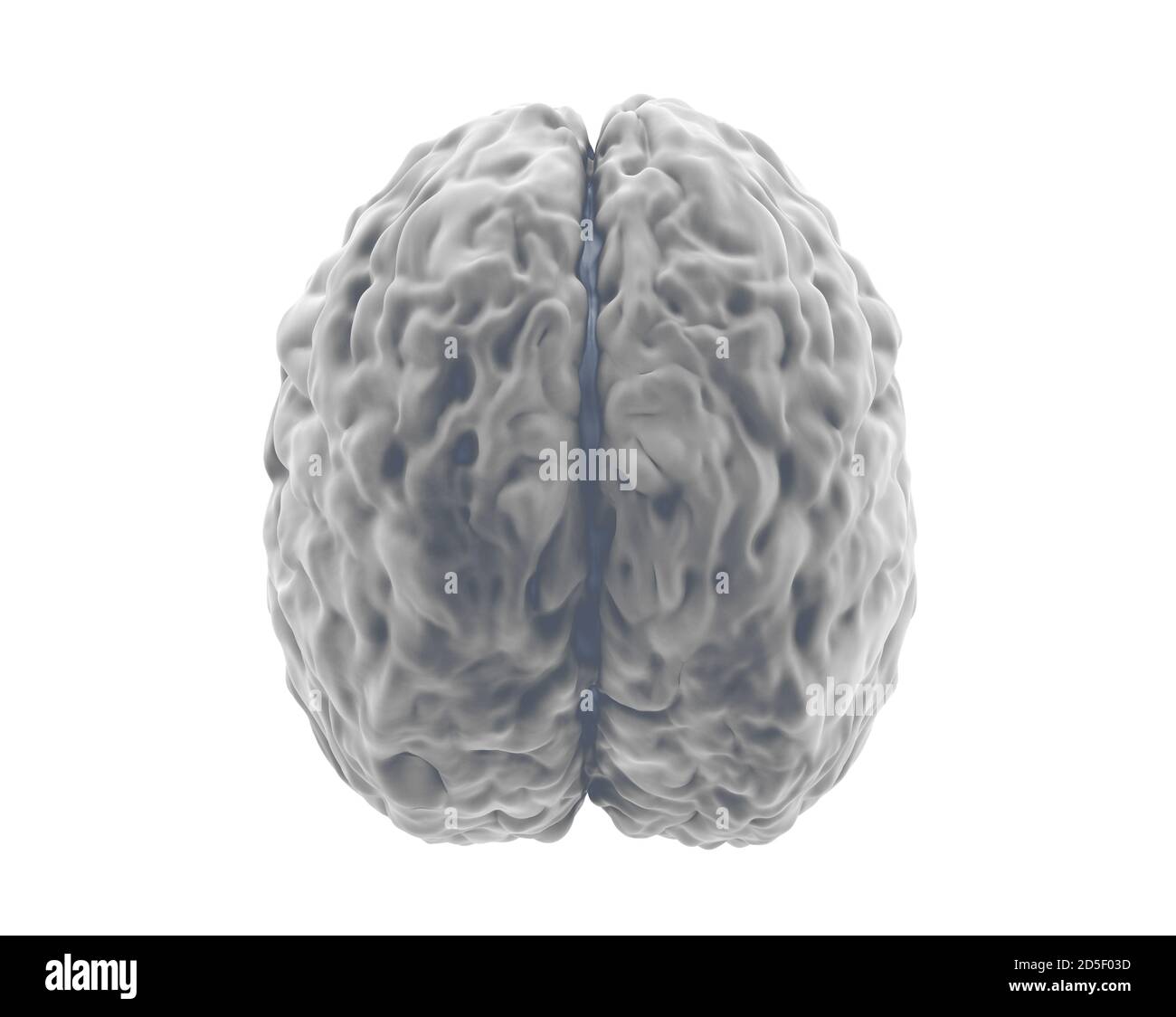 gray human brain model isolated on white background, view top, 3d ...
