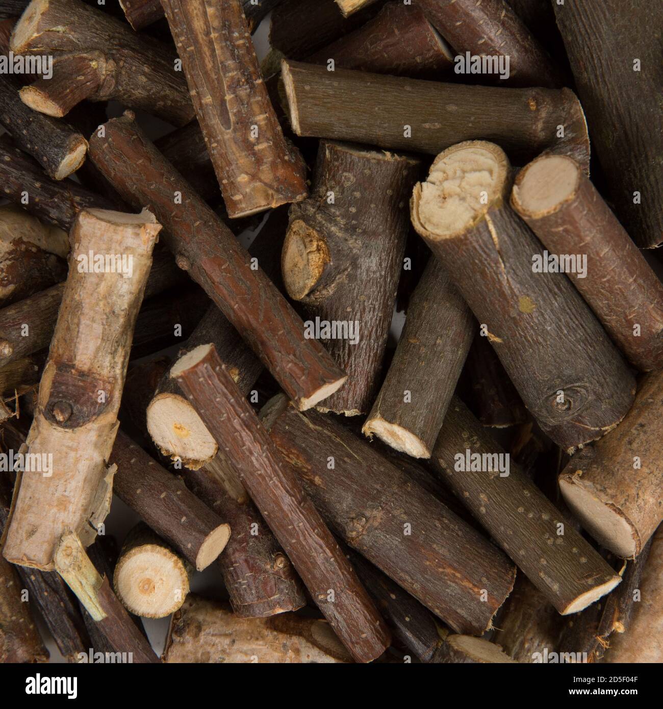 Top view vertical macro shot of a wooden branch cut into small pieces ...