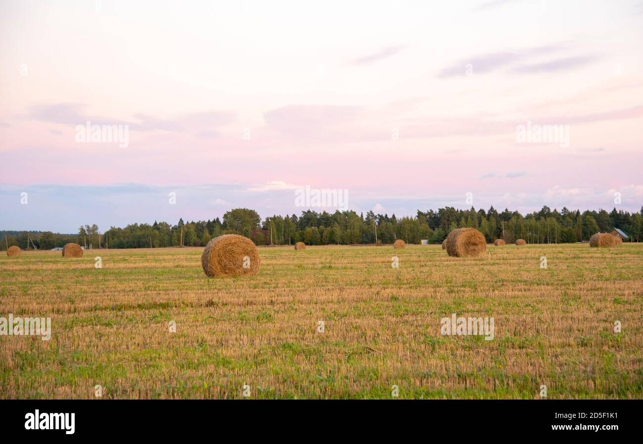 Mown grass aerial hi-res stock photography and images - Alamy