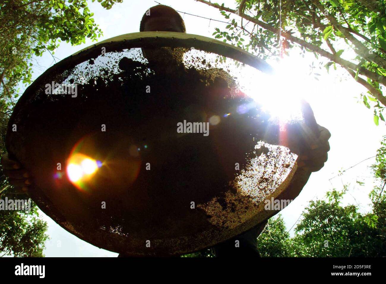 Ruf soldiers hi-res stock photography and images - Alamy