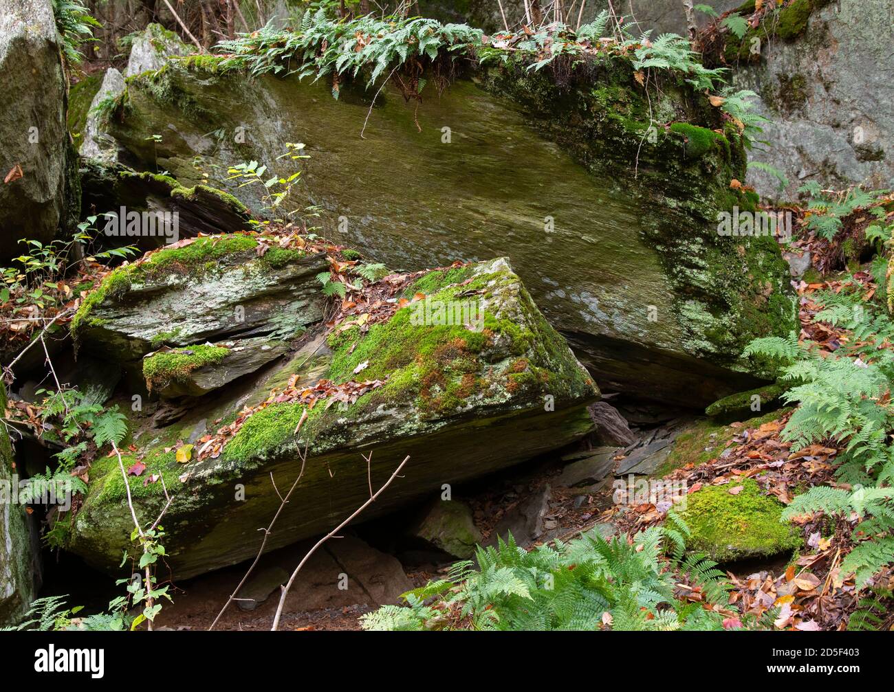 An ancient rock formation in the forest at Moretown, Vermont, USA Stock ...