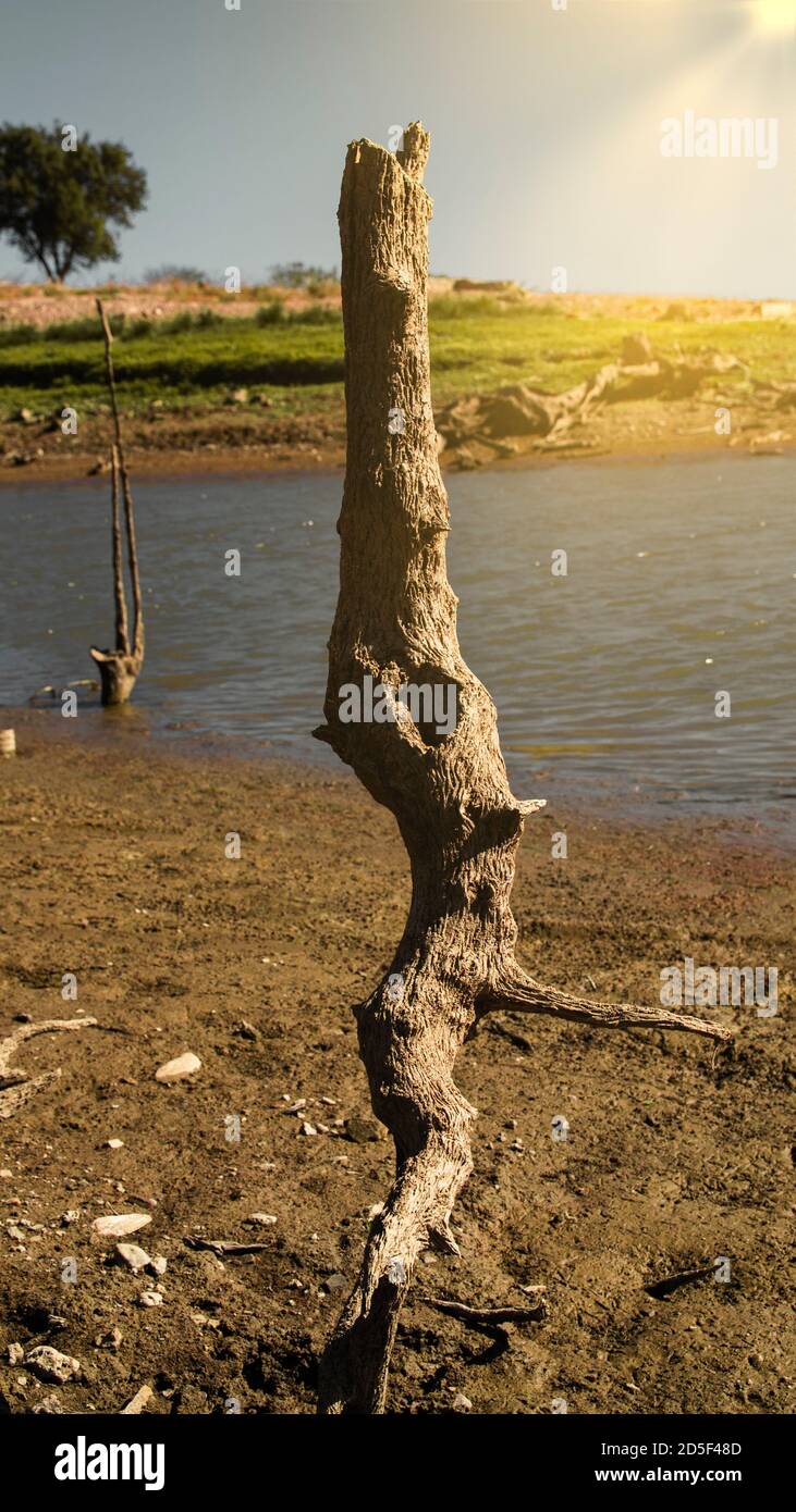 Effects of drought hi-res stock photography and images - Alamy