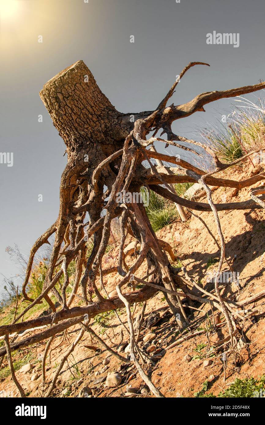 Effects Of Drought High Resolution Stock Photography and Images - Alamy