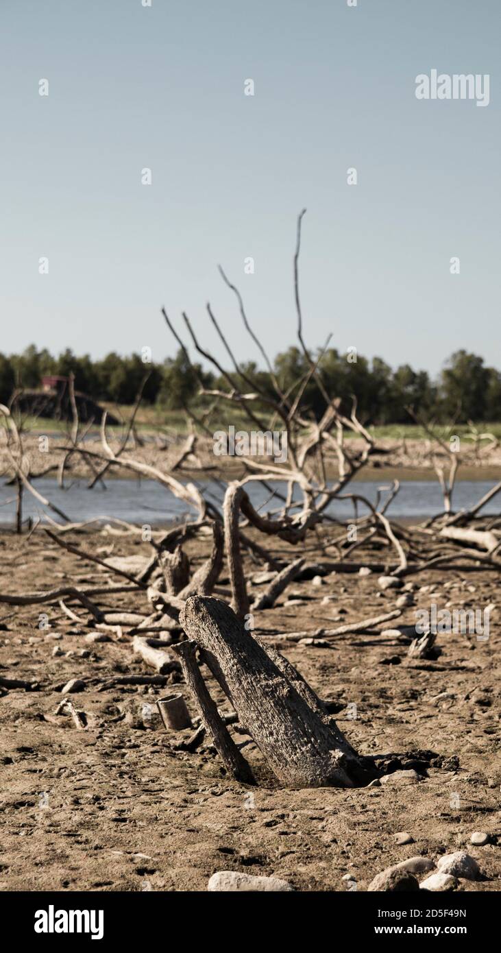 Tree Roots Crack High Resolution Stock Photography and Images - Alamy