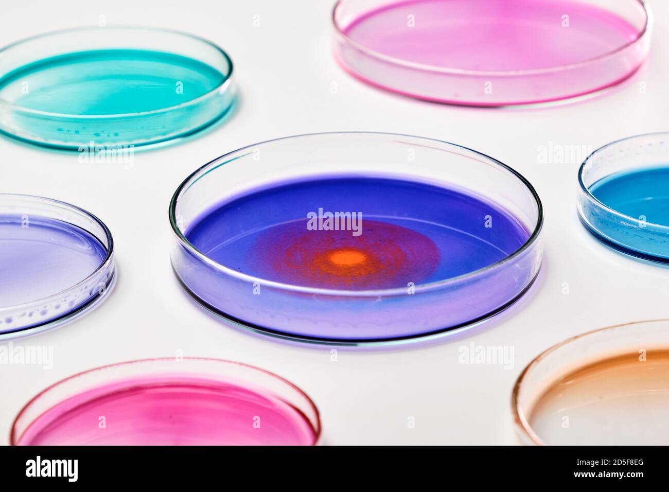 Colorful Petri dishes with media in a microbiology laboratory. Chemical ...