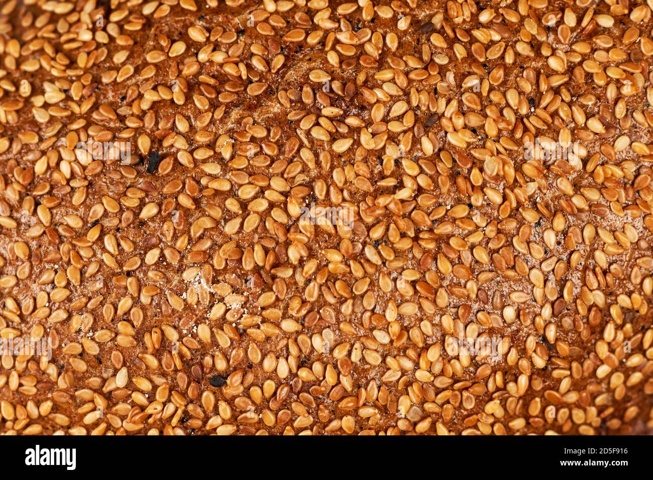 Close-up shot of loaf bread surface. The texture of bread. Copy space ...