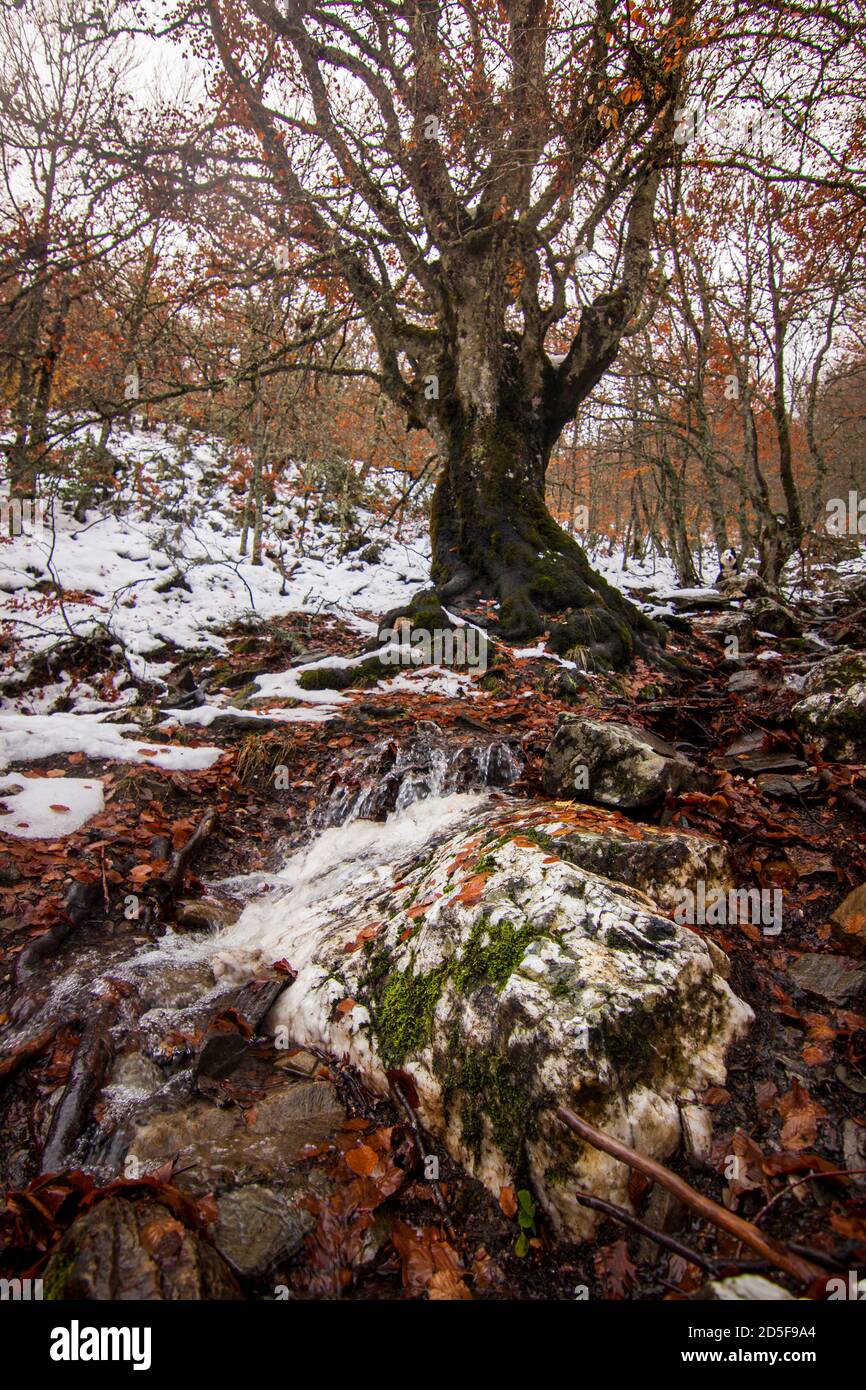 Riaza hi-res stock photography and images - Alamy