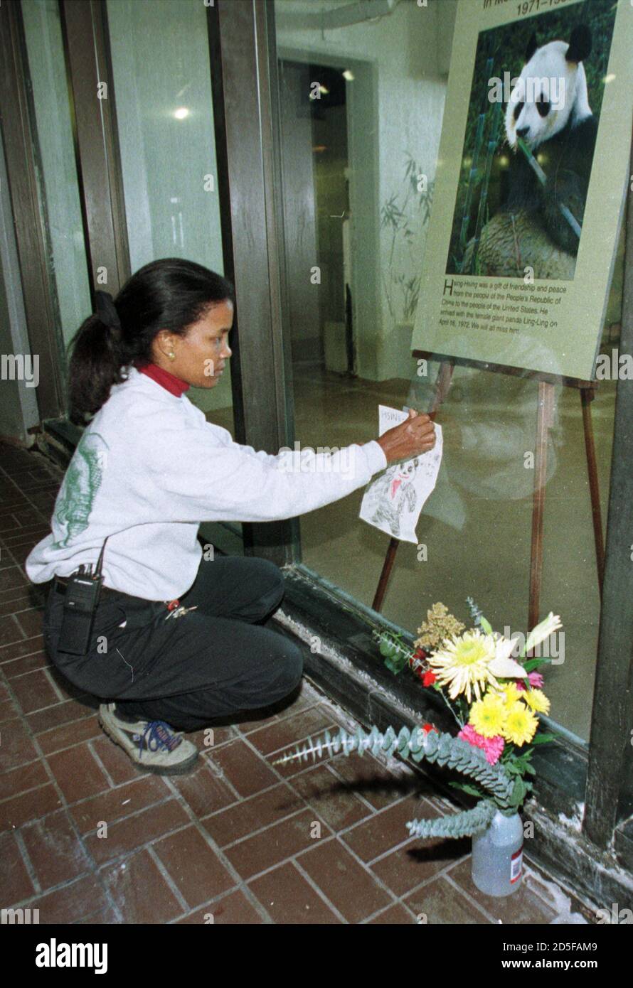 Lisa stevens hi-res stock photography and images - Alamy