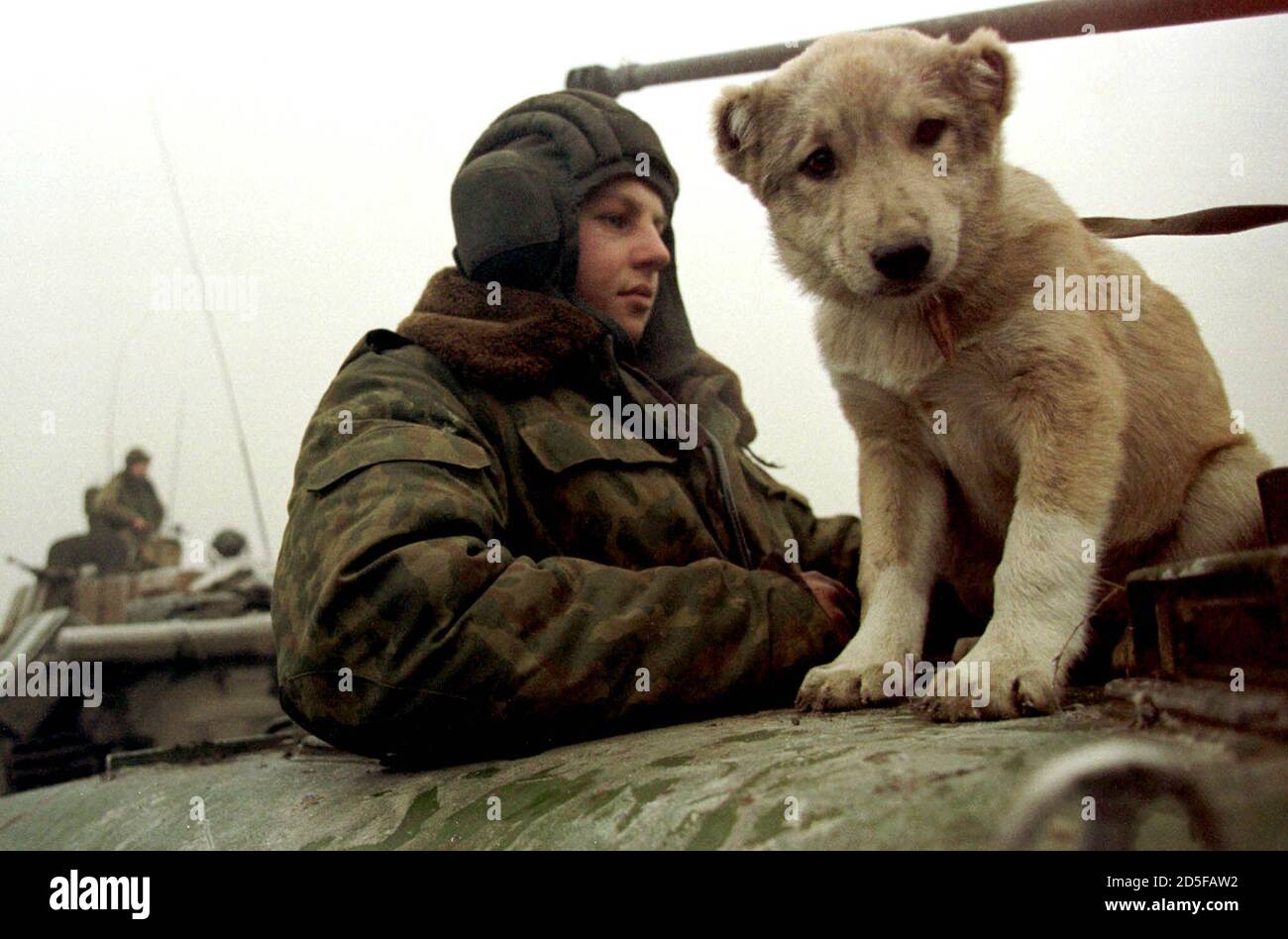 Russian soldier dog hi-res stock photography and images - Alamy