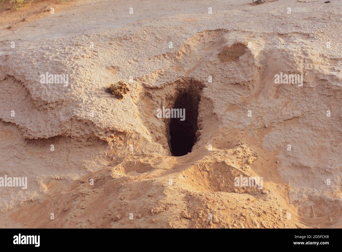 Rat hole in the desert hi-res stock photography and images - Alamy