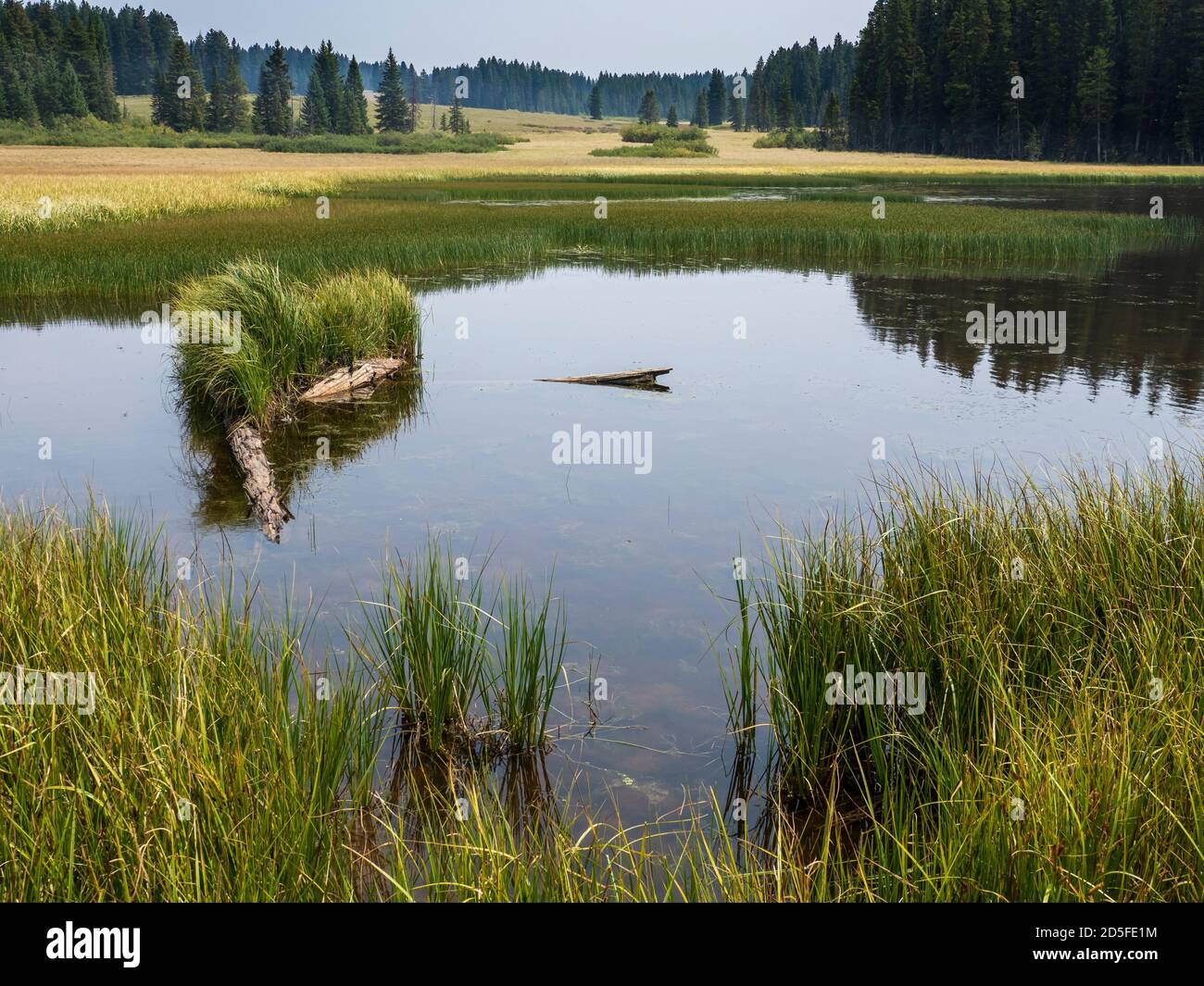 Crane Lake, Grand Mesa, Colorado Stock Photo - Alamy