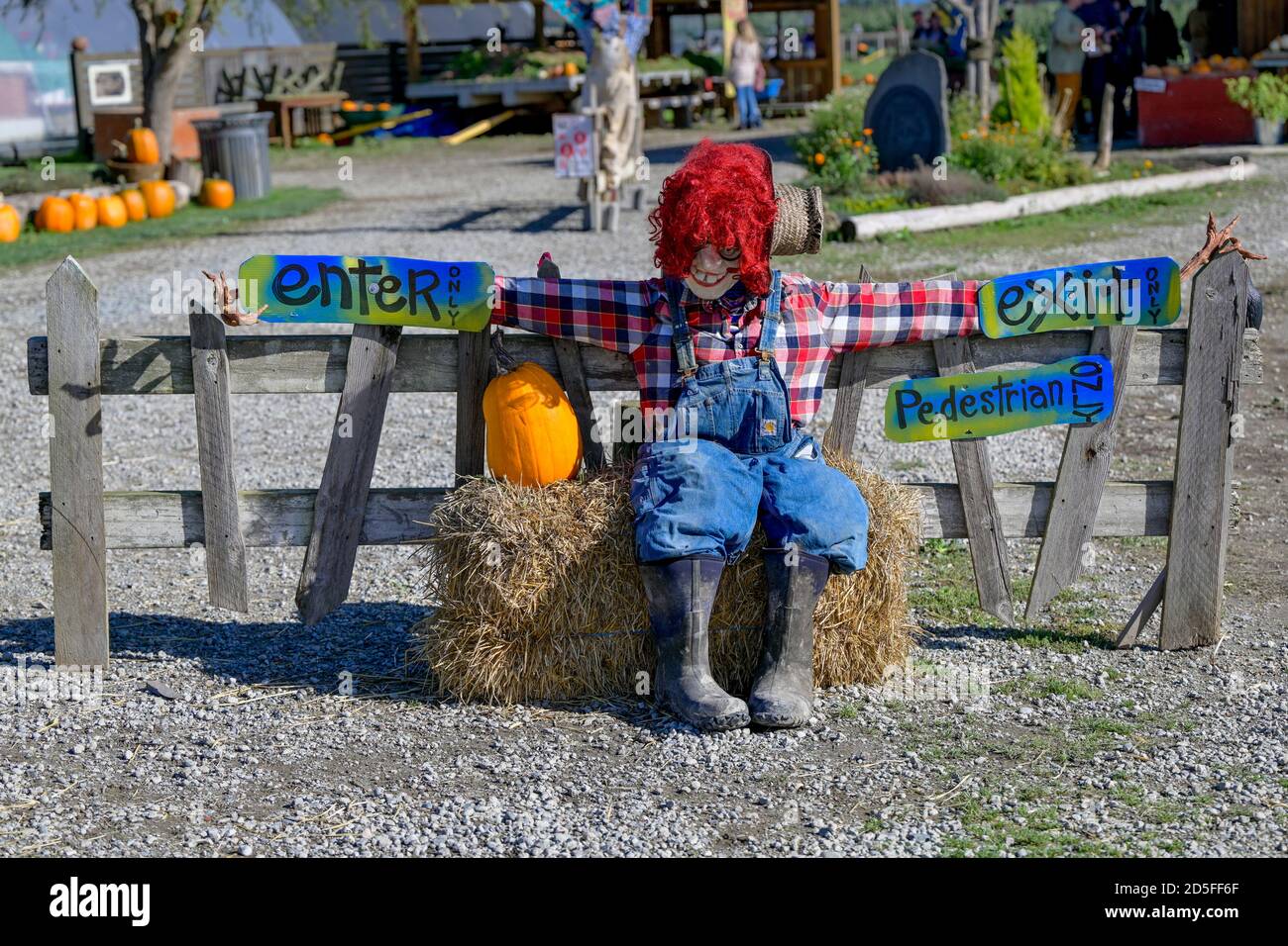 Scarecrow, Westham Island Herb Farm, Ladner, Delta, British Columbia ...
