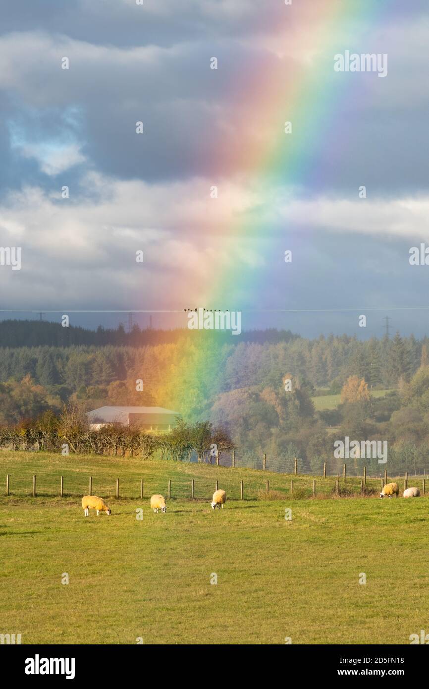 Stunning rainbow hi-res stock photography and images - Alamy