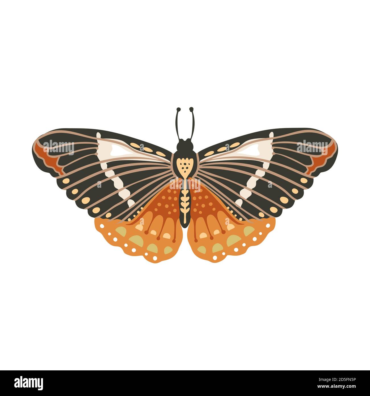 Boho vector art design with bohemian butterfly. Isolated insect icon ...