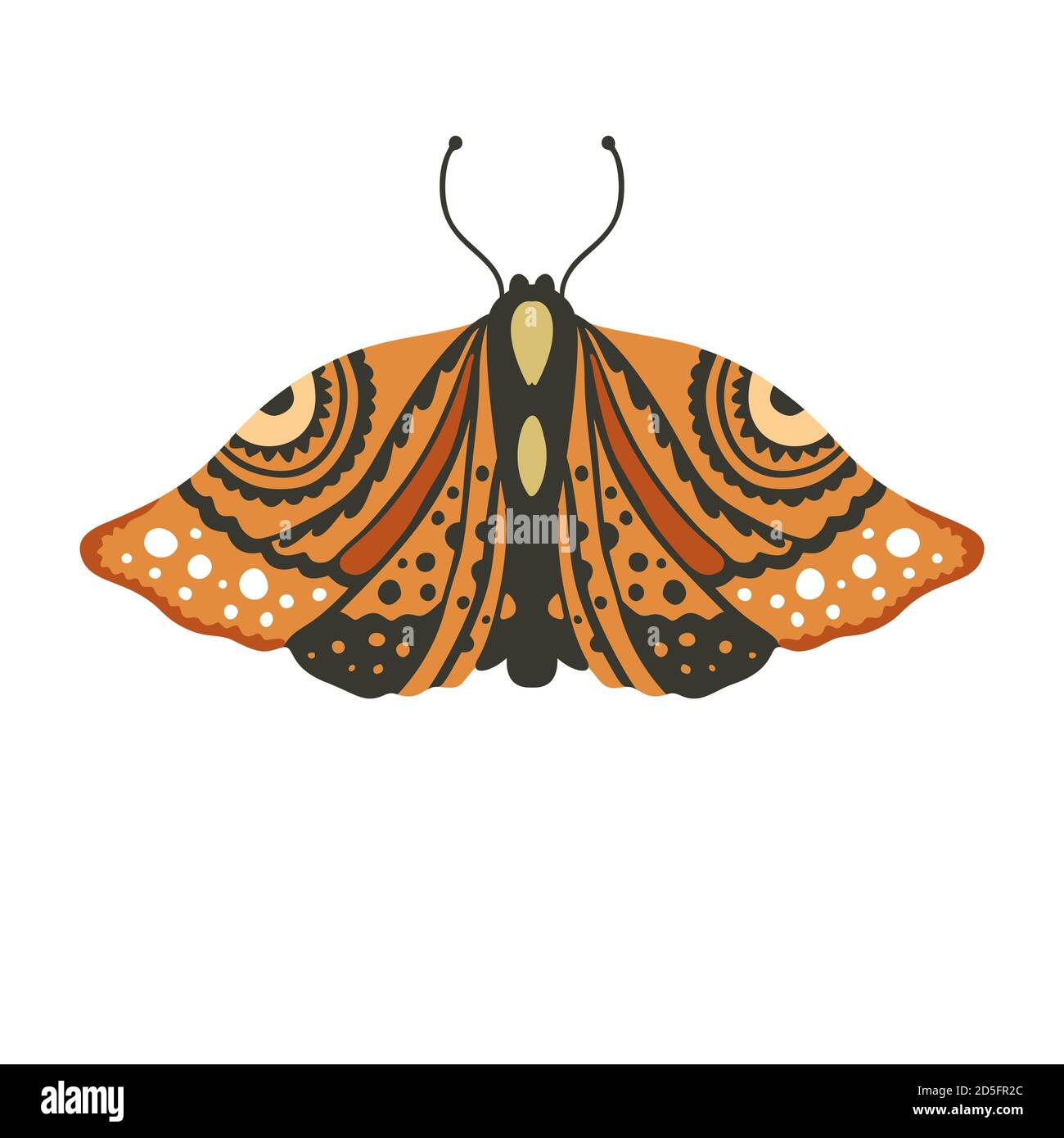 Boho vector art design with bohemian butterfly. Isolated insect icon ...