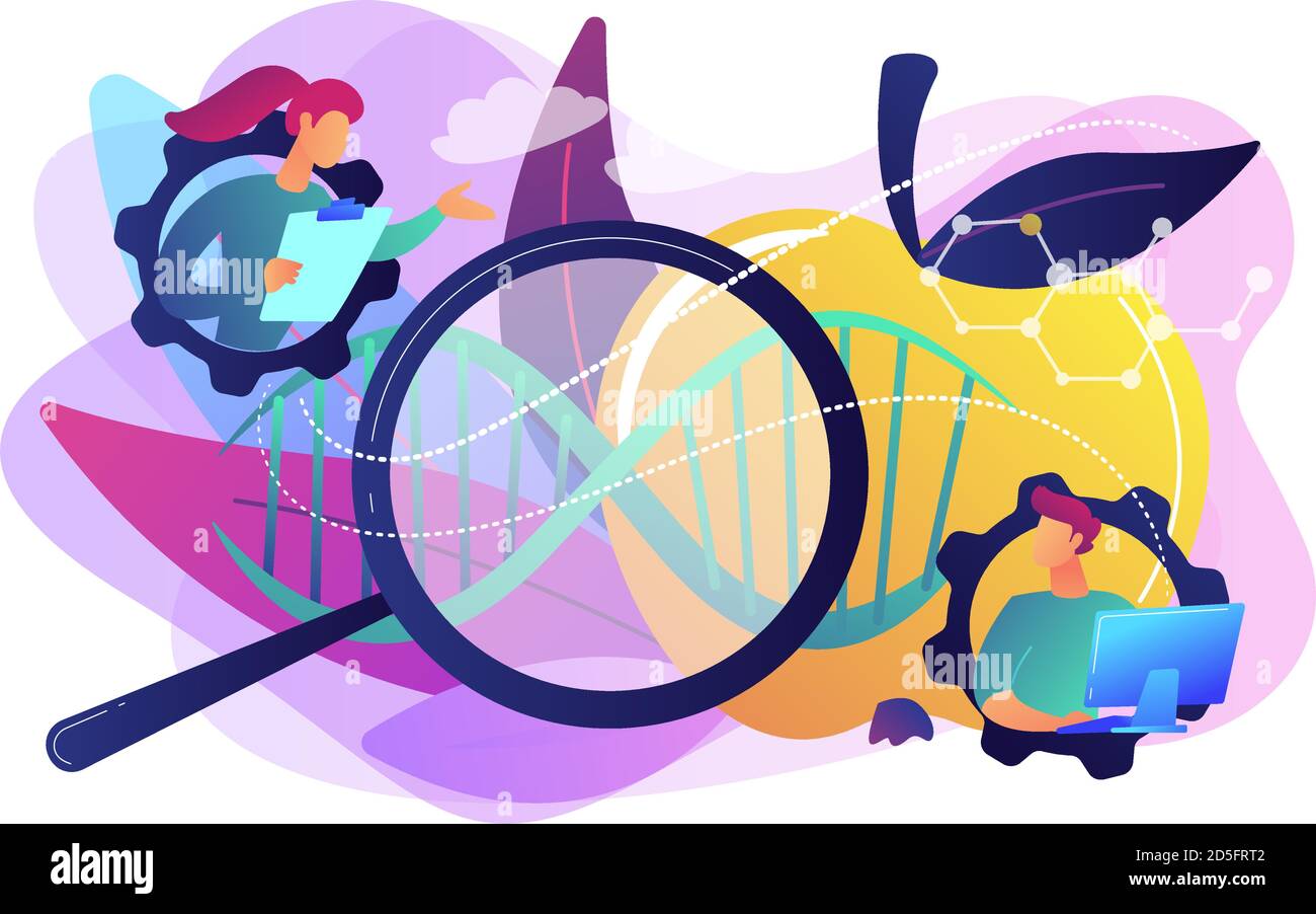 Genetically modified foods concept vector illustration Stock Vector Image & Art - Alamy