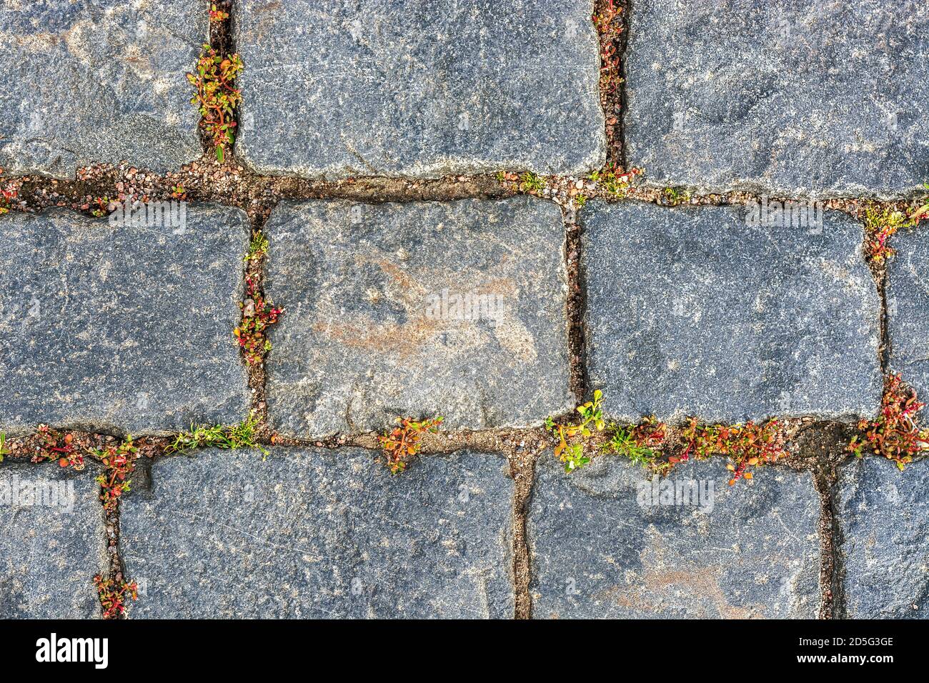 Fragment of a pavement pavement for use as an abstract background and ...