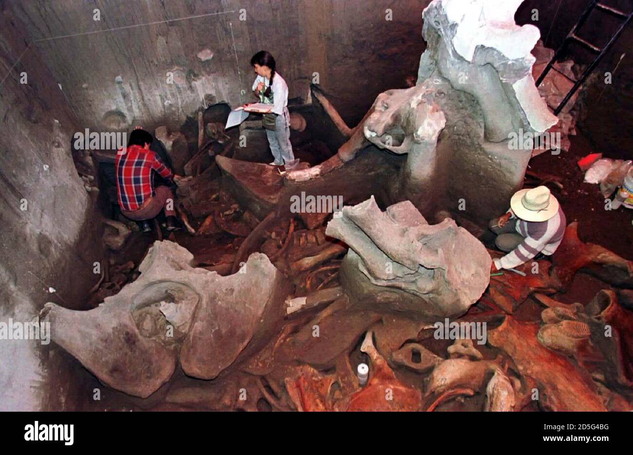 Paleontologists digging hi-res stock photography and images - Alamy