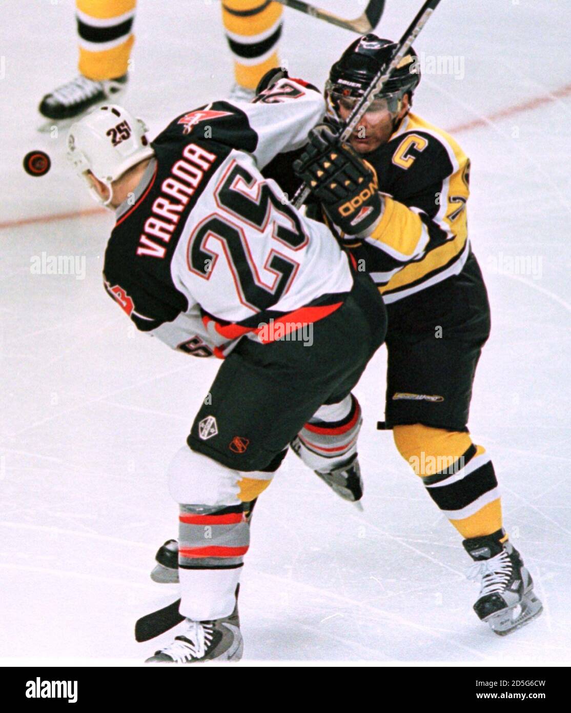 Sabre wing hi-res stock photography and images - Alamy