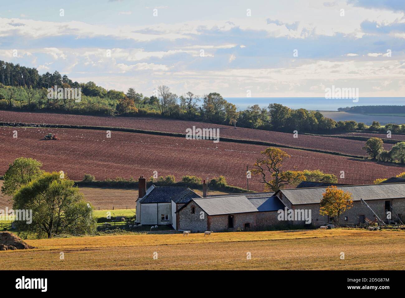 Devon farm house hi-res stock photography and images - Alamy