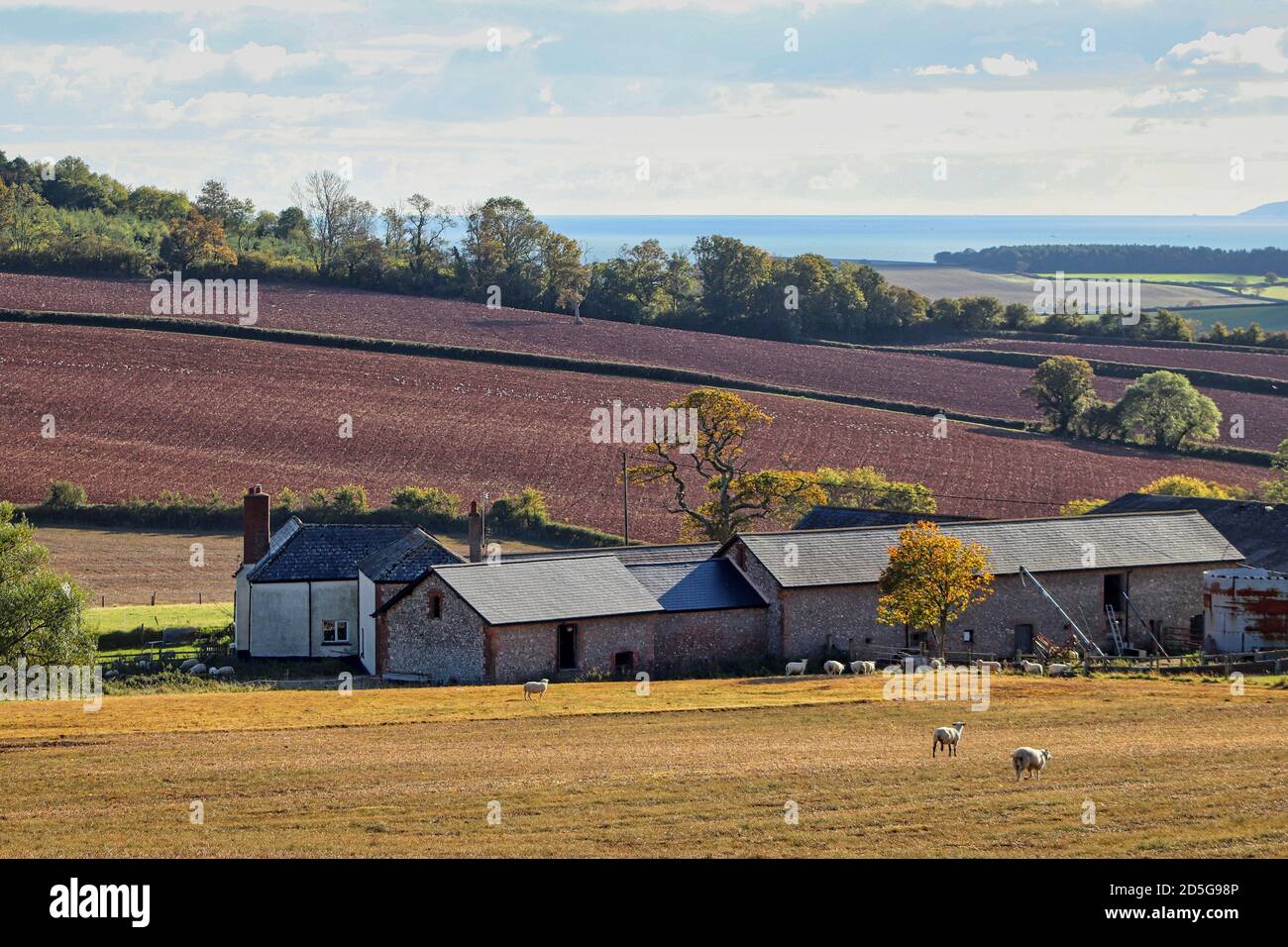 Devon farm house hi-res stock photography and images - Alamy