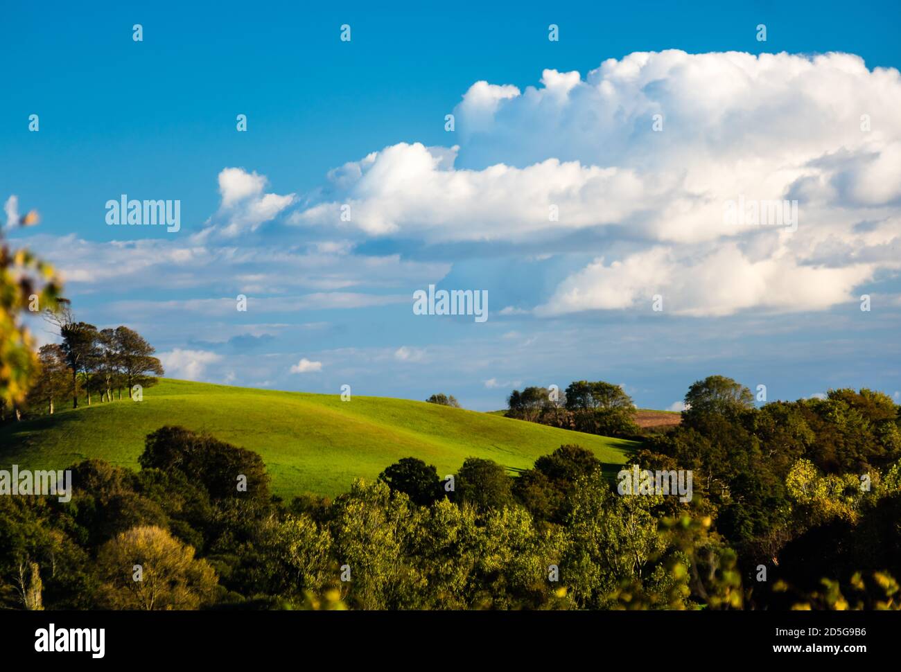 Autumn comes to the hills overlooking the Otter Valley Stock Photo - Alamy