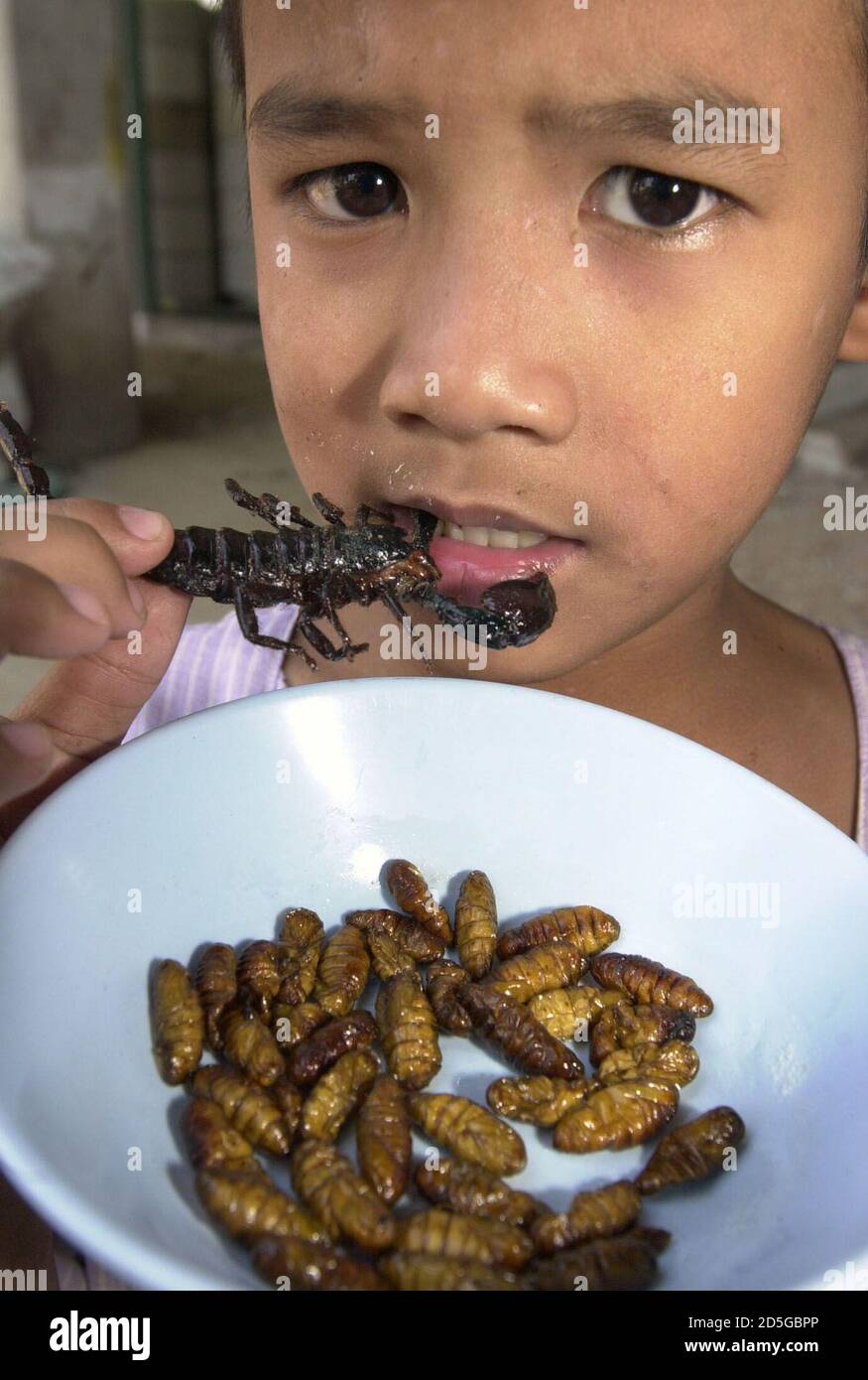 Nine insects hi-res stock photography and images - Alamy