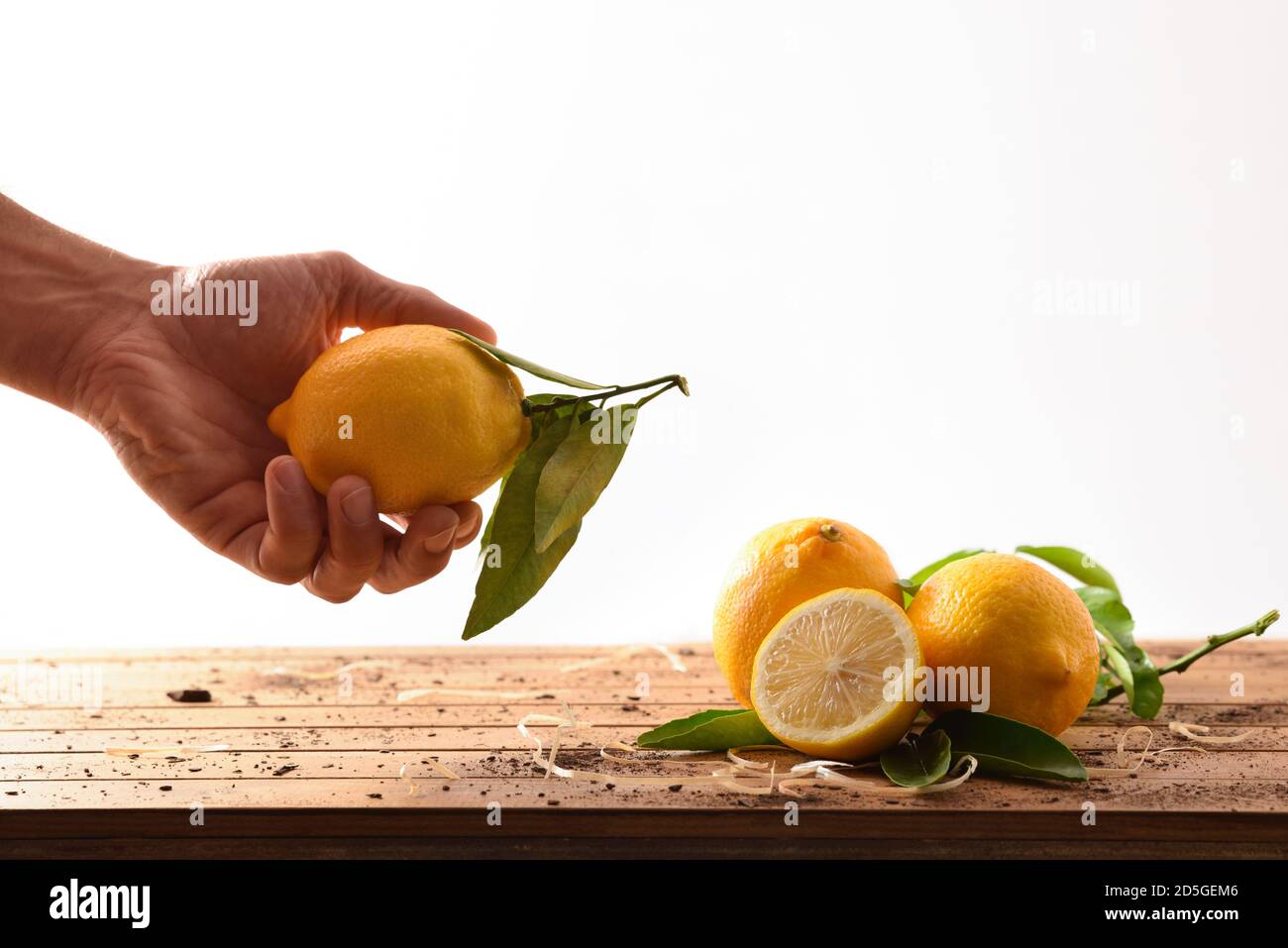 Hand with harvest lemon in hand and lemons on wooden table on white ...