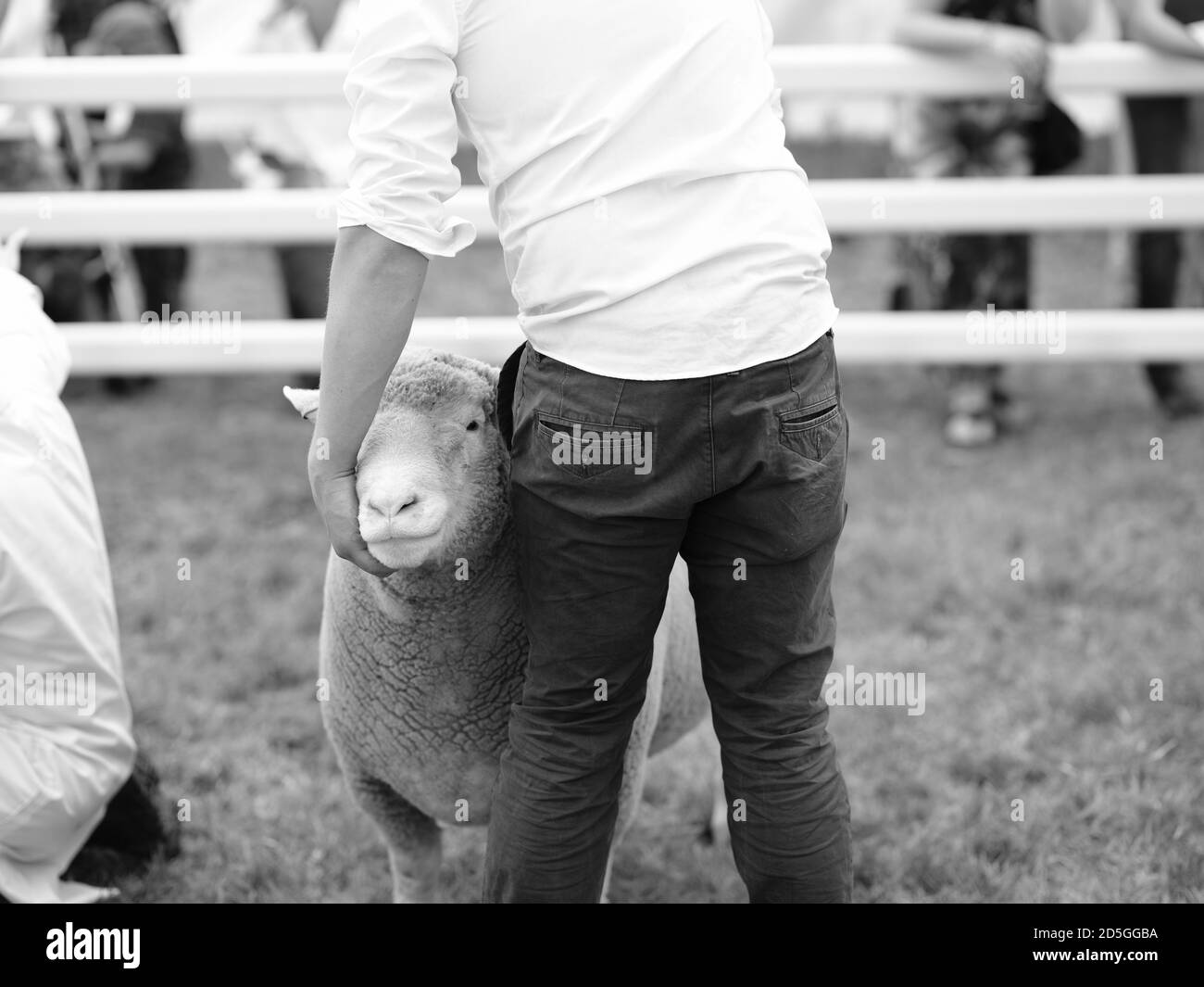 Royal cornwall show royal cornwall showground hi-res stock photography ...