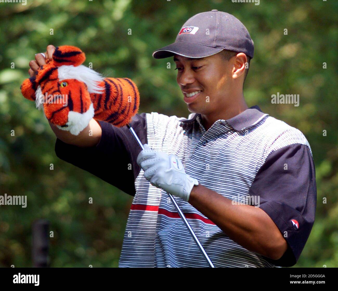 Tiger Golf Head Cover High Resolution Stock Photography and Images - Alamy
