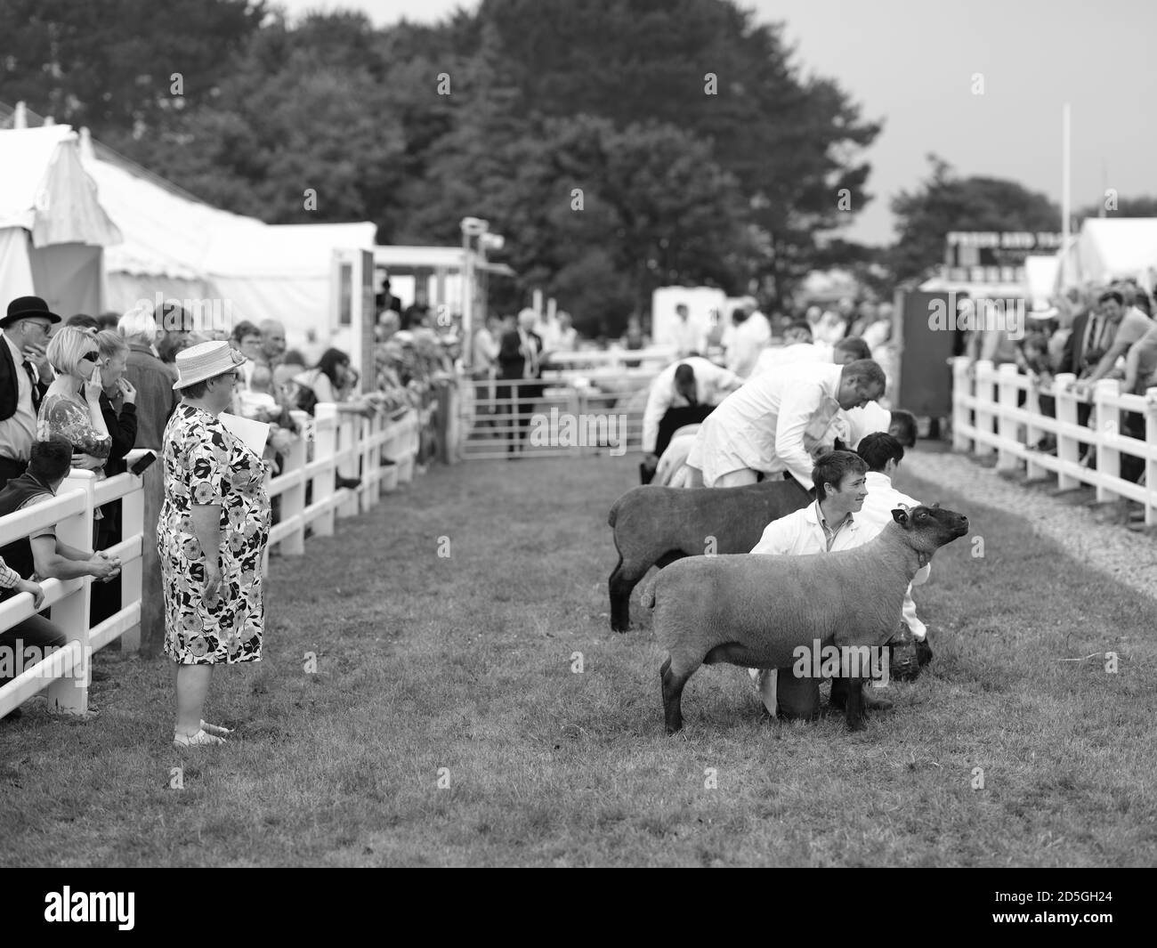 Royal Cornwall Show Wadebridge Cornwall Stock Photo - Alamy