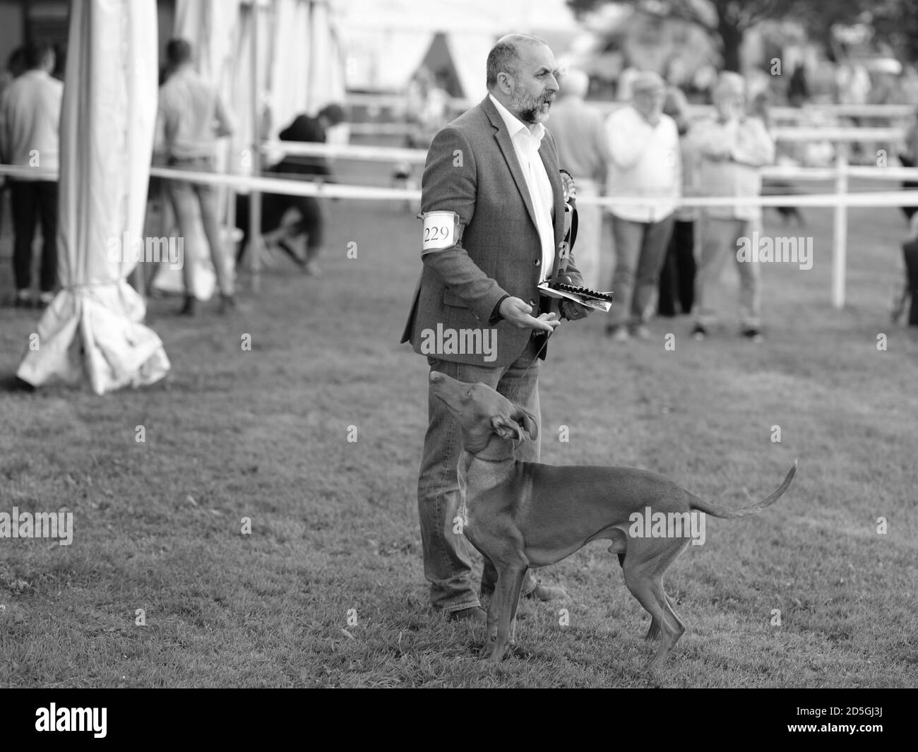 Royal Cornwall Show Wadebridge Cornwall Stock Photo - Alamy