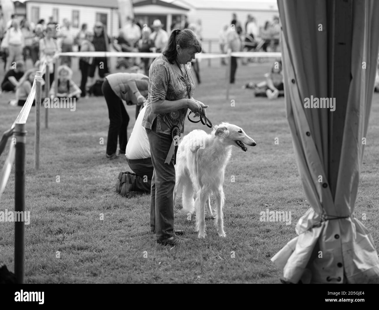 Royal Cornwall Show Wadebridge Cornwall Stock Photo - Alamy Royal Cornwall Show Wadebridge Cornwall Stock Photo - Alamy