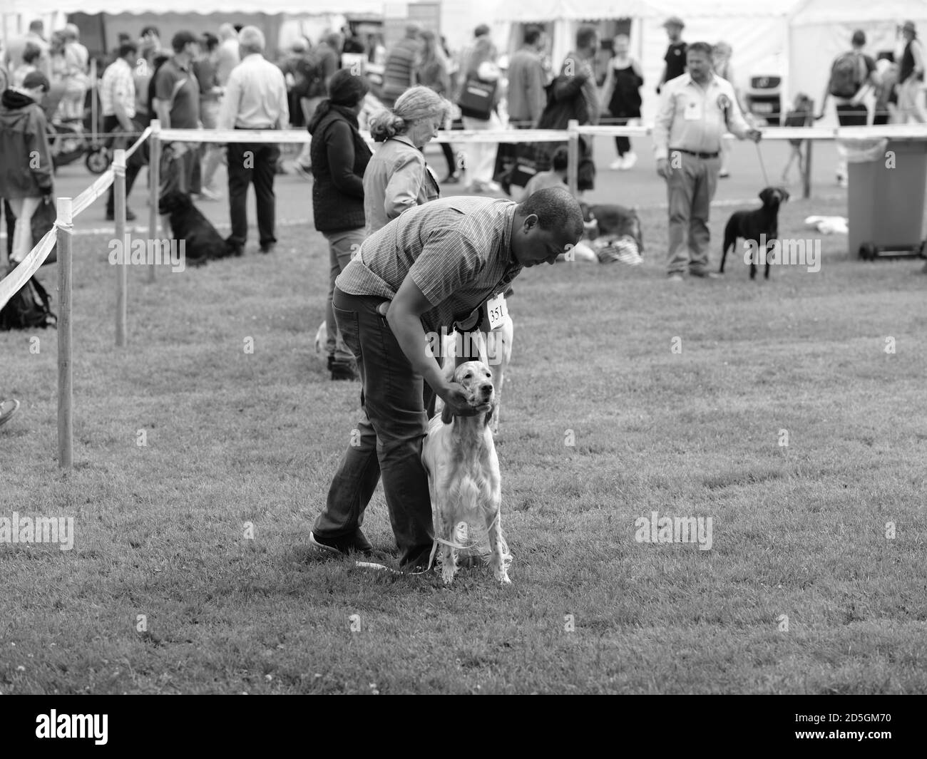Royal Cornwall Show Wadebridge Cornwall Stock Photo - Alamy