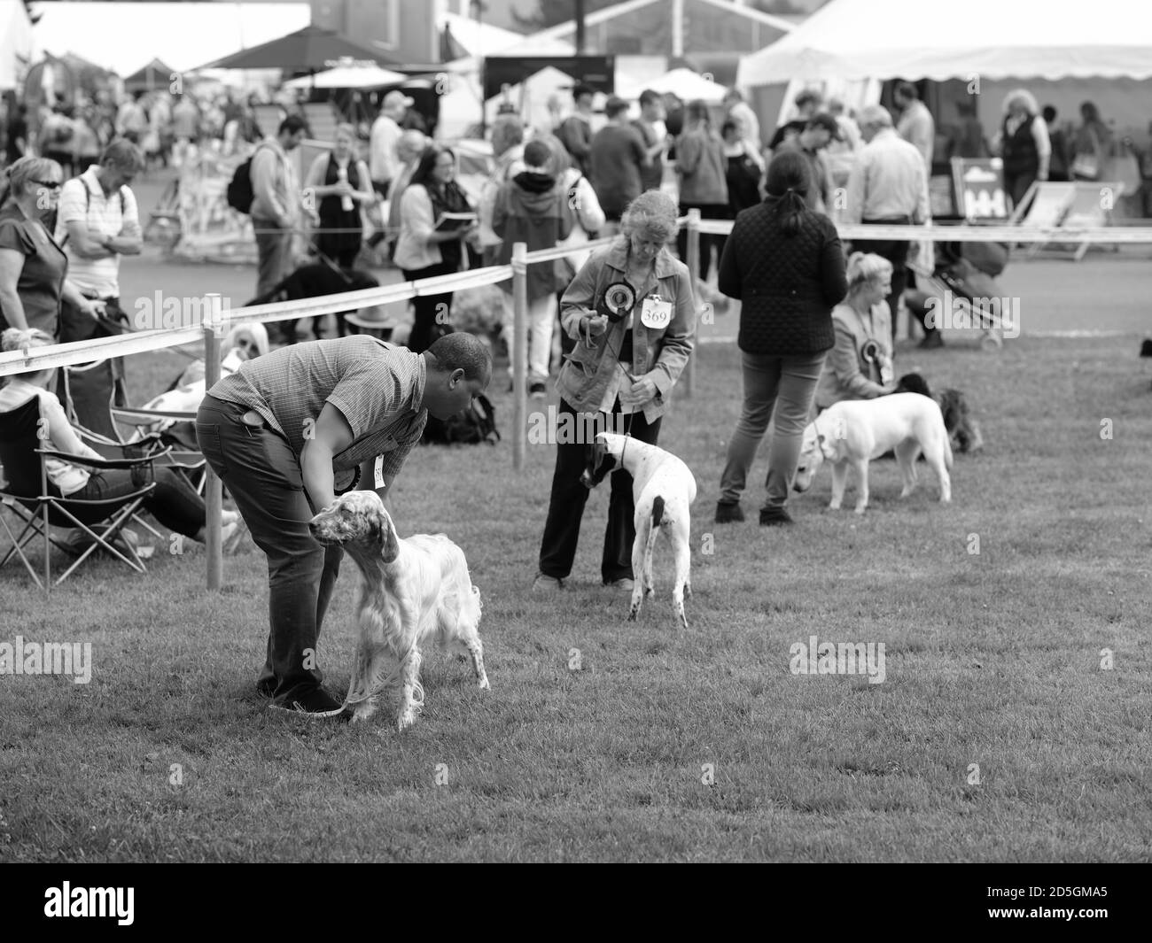 Royal Cornwall Show Wadebridge Cornwall Stock Photo - Alamy