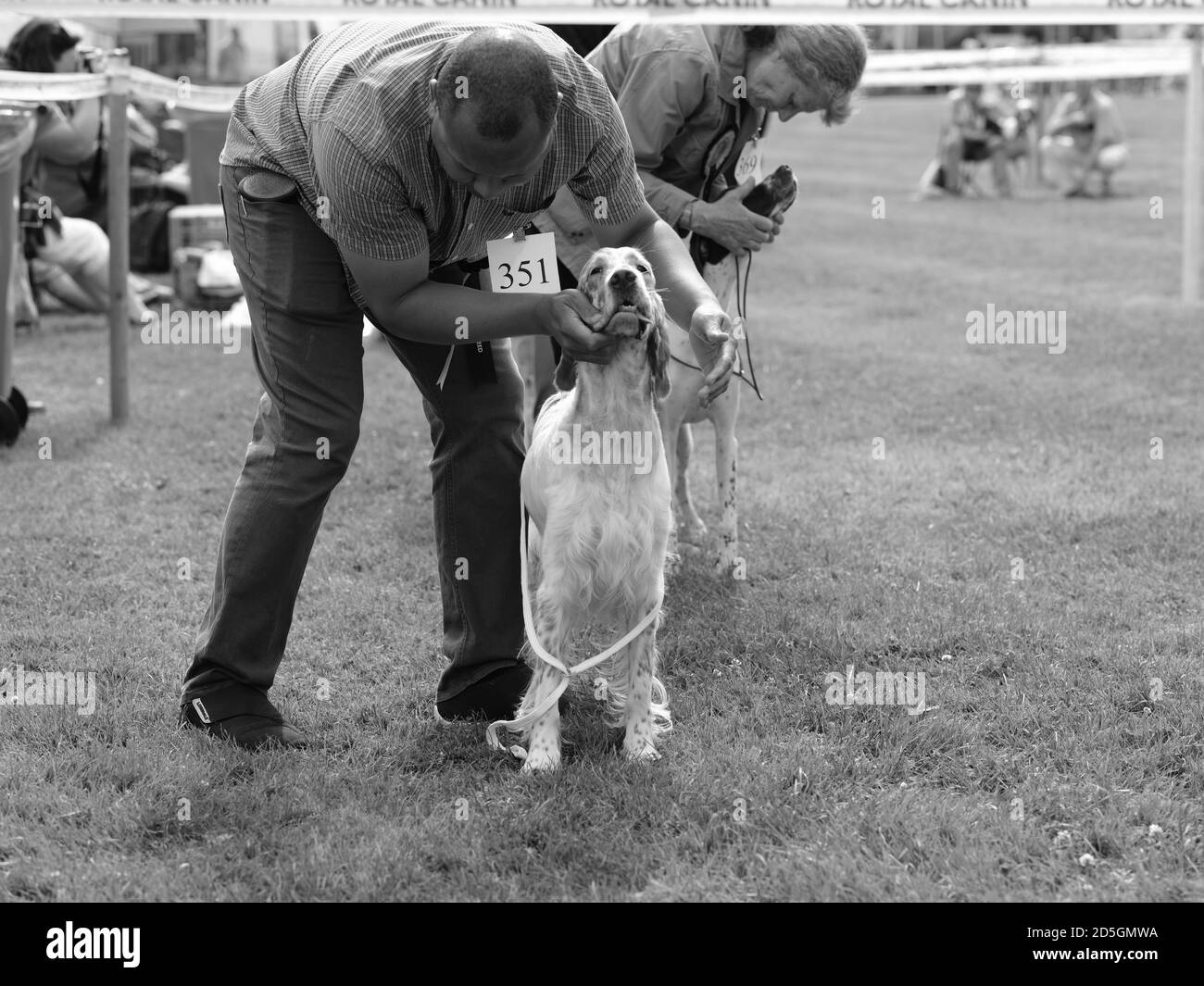 Royal Cornwall Show Wadebridge Cornwall Stock Photo - Alamy