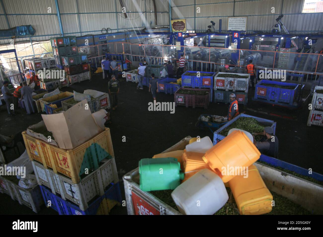 The Gaza Strip, The Gaza Strip, Palestine. 13th Oct, 2020. Olives ...