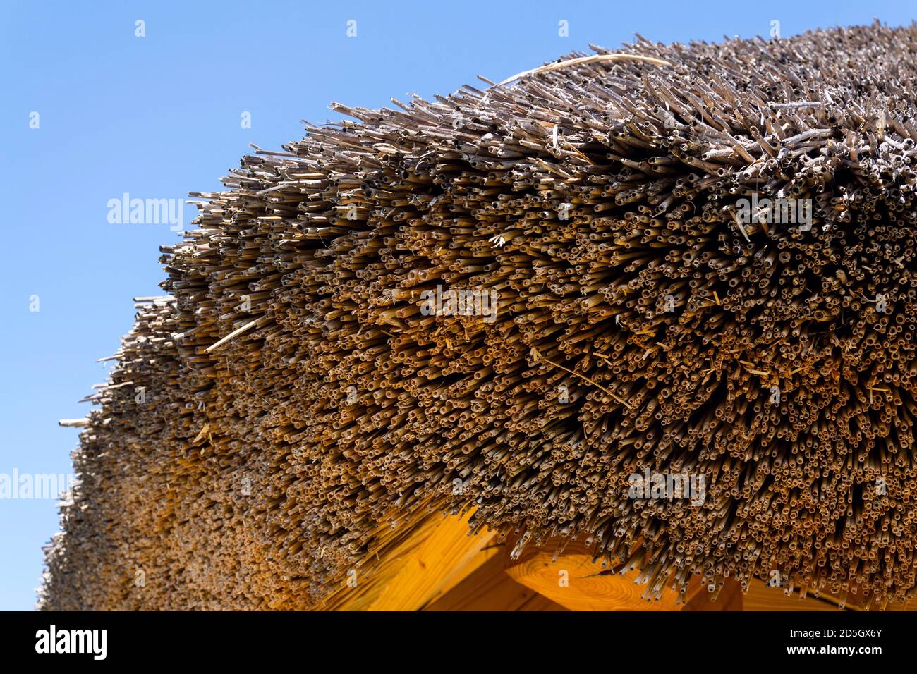 Detail of traditional thatched roof from straw or reed on sunny summer ...