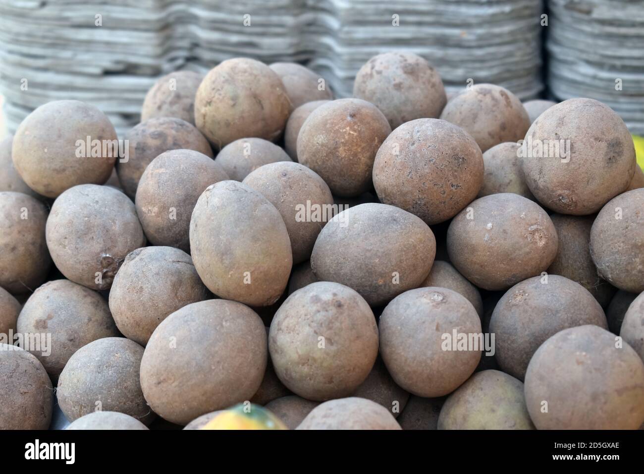 Sapodillas fruit hi-res stock photography and images - Alamy