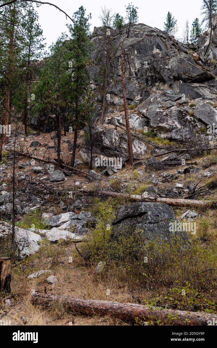 Rock Cliffs In A Burn Area At The Little Spokane Natural Area Stock ...