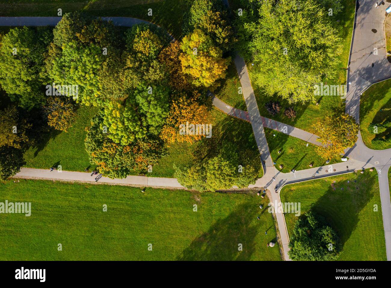 Aerial top view park trees grass hi-res stock photography and images ...