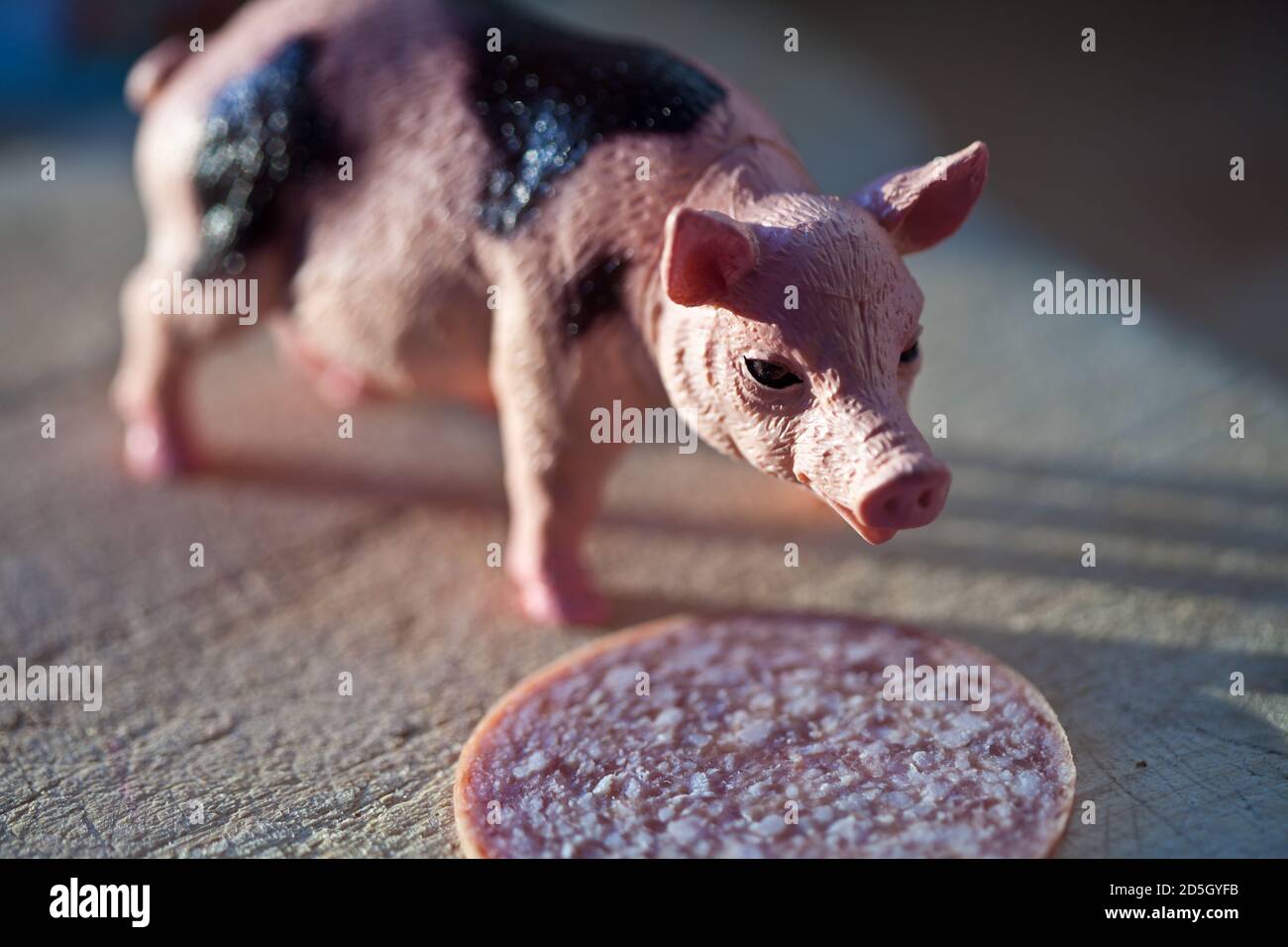 Plastic pig hi-res stock photography and images - Alamy