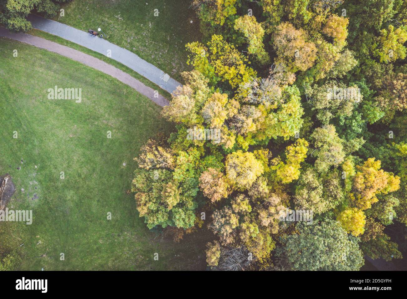 Aerial top view park trees grass hi-res stock photography and images ...