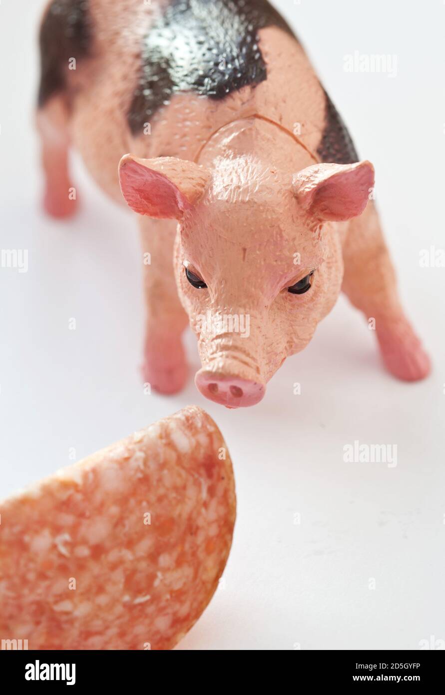 Miniature plastic Pig with a slice of saussage shot on white background ...
