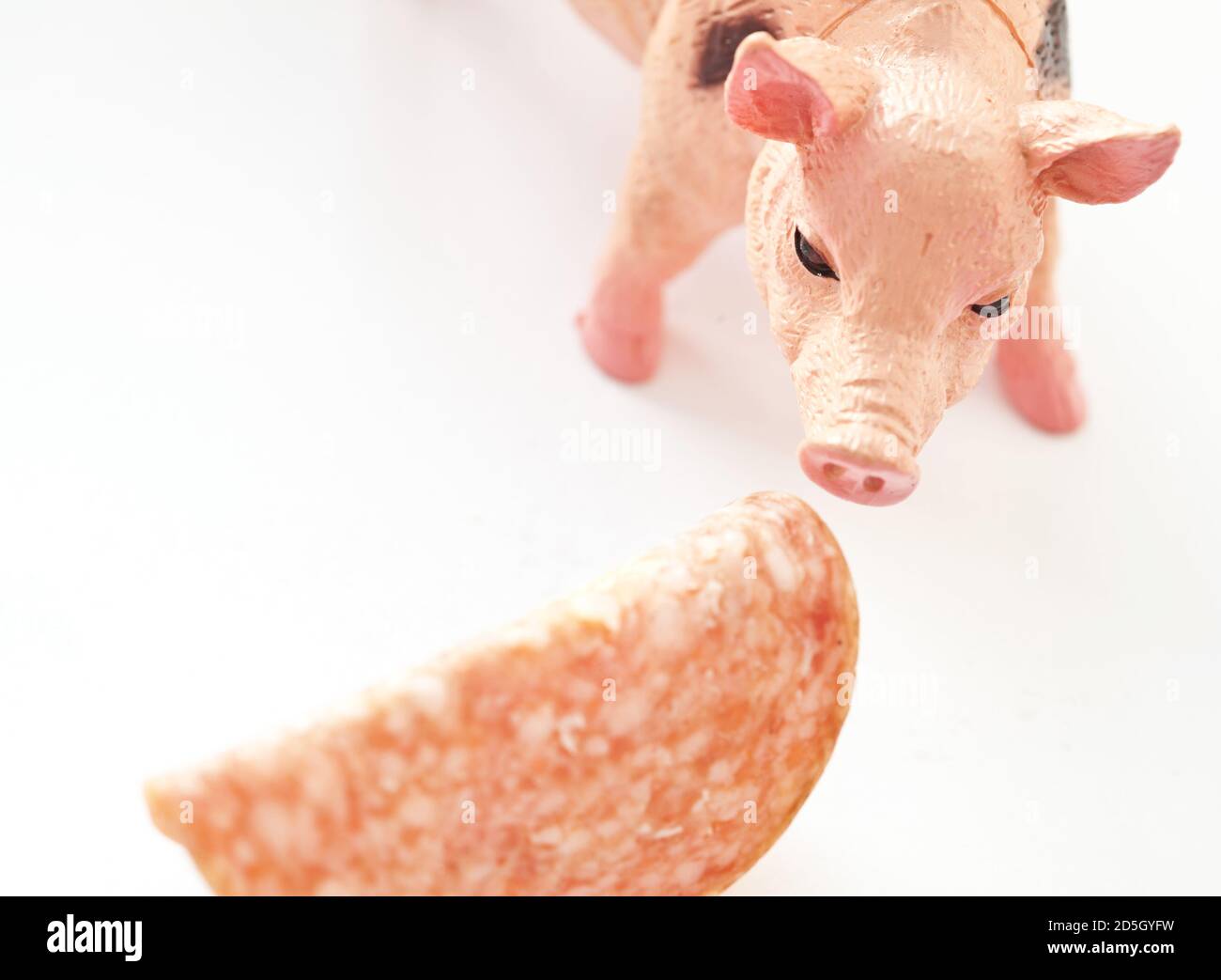 Plastic pig hi-res stock photography and images - Alamy