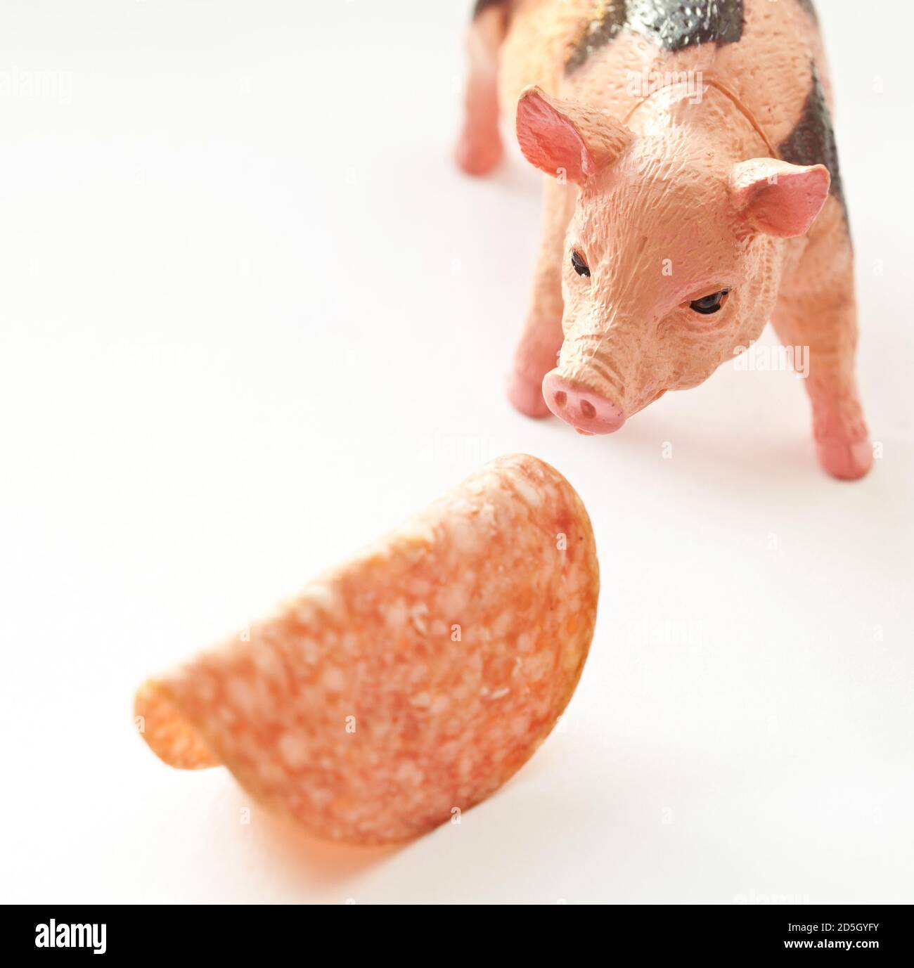 Miniature plastic Pig with a slice of saussage shot on white background ...