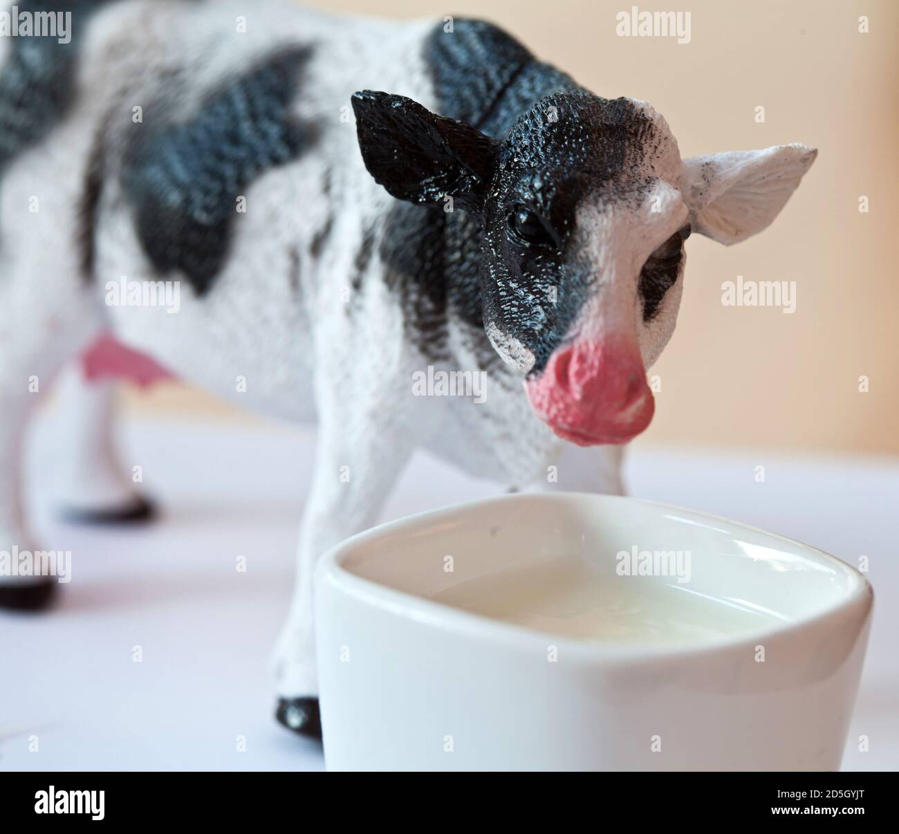 Miniature plastic cow with milk shot on white background Stock Photo ...
