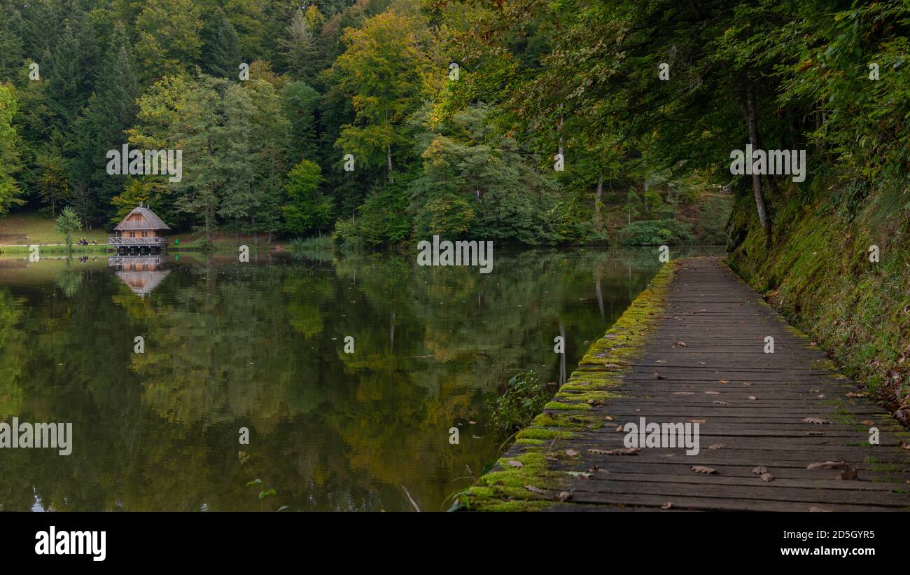 Wooden bridges by the lake Stock Photo - Alamy